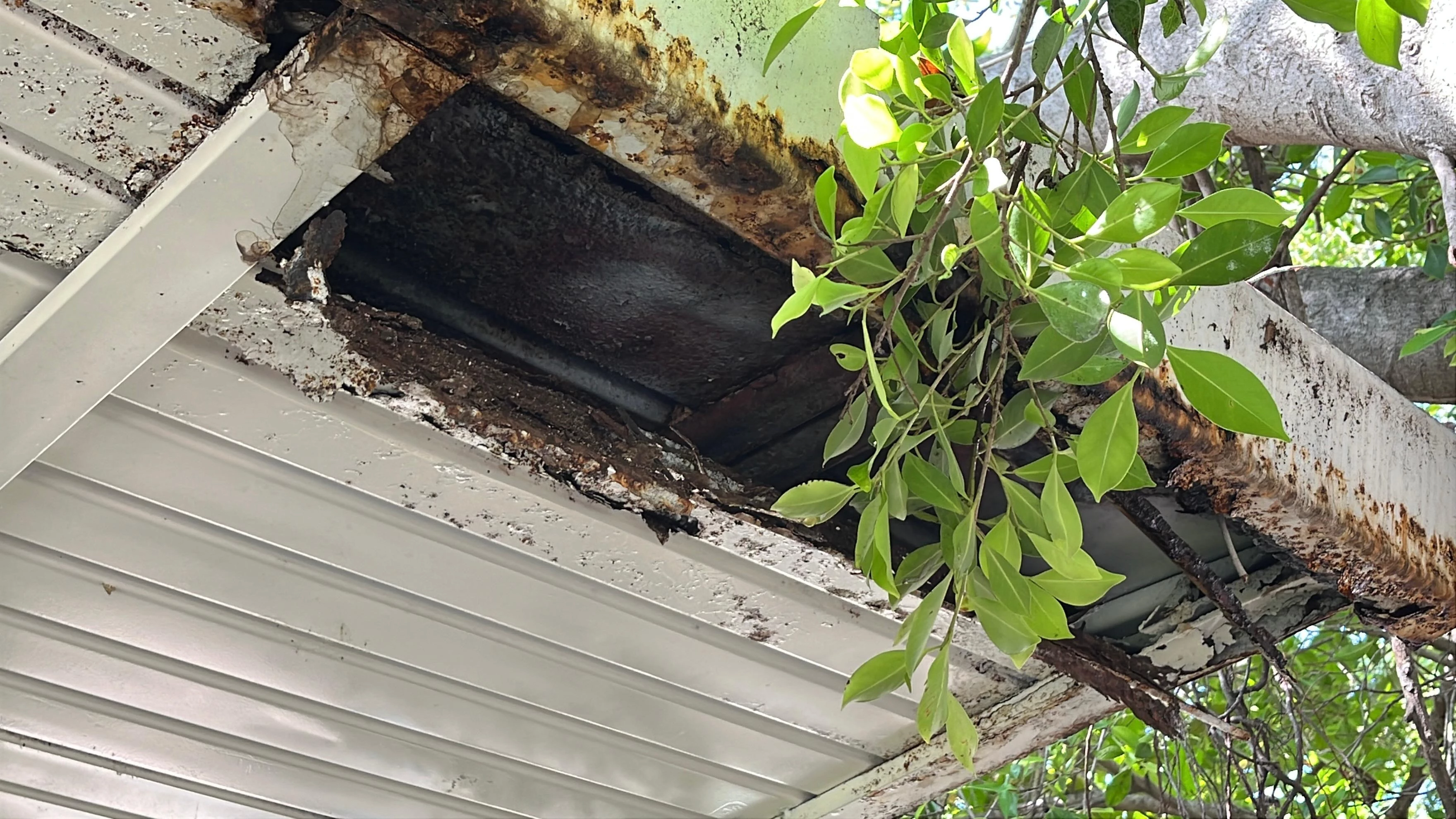 Techo del Jardín de Niños Angela Lund Gómez se deteriora más cada ...