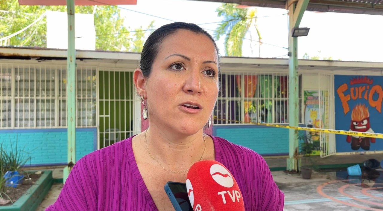 Jardín de Niños Angela Lund Gómez enfrenta problemas con abejas y ...