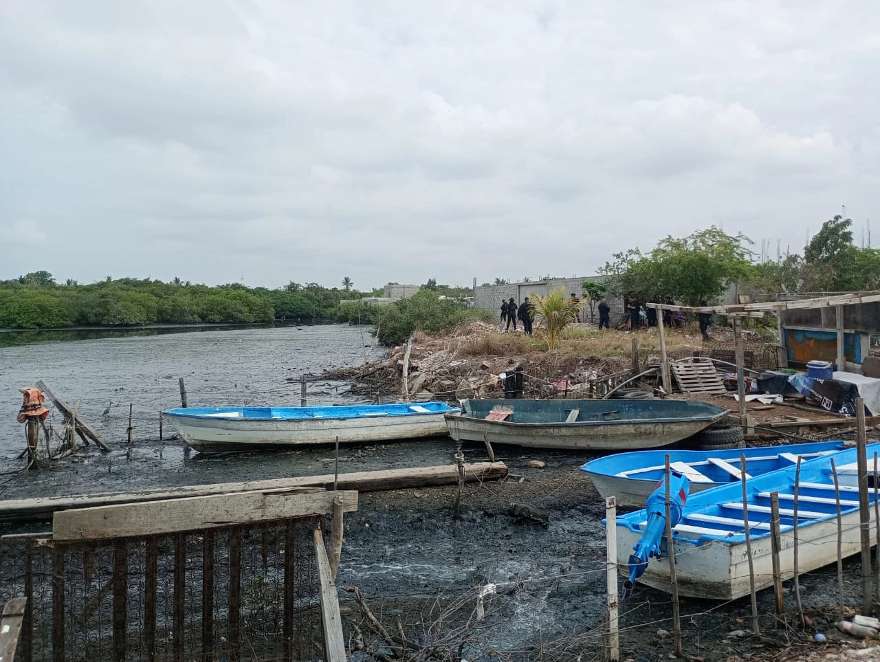 Encuentran torso humano flotando en la zona de marismas en Mazatlán ...